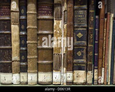 Buchrücken, alte Bücher von Hesse, Sturm und Tolstoi Stockfoto, Bild ...