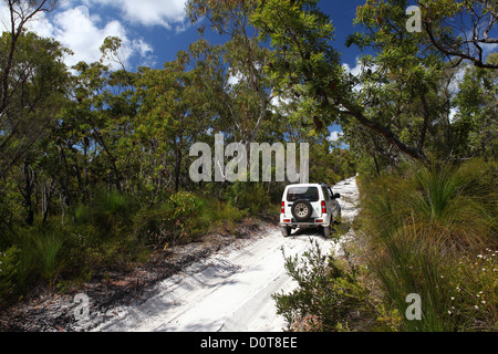 Sand, Piste, Fraser Island, Queensland, Australien, Tourismus ...