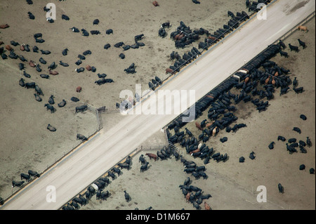 Luftaufnahme Rinder Feedlot Nebraska Stockfotografie - Alamy