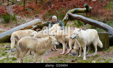 Wolfspark Werner Freund, Stadt der Wölfe, Merzig, Saarland, Deutschland ...