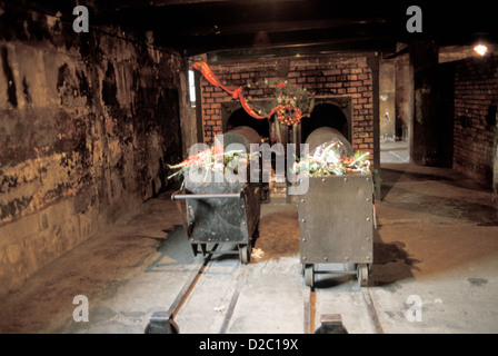 Leichen in Auschwitz Stockfoto, Bild: 94210495 - Alamy