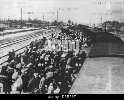 Die Leichen der Auschwitz-Häftlinge Stockfotografie - Alamy