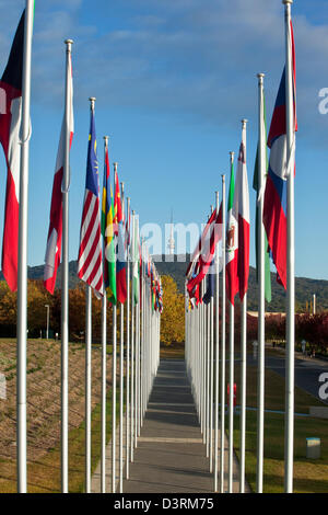 Internationalen Flagge hissen Stockfotografie - Alamy