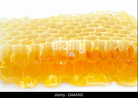 Biene Bienenwaben. Die Struktur der Waben mit Honig gefüllt Stockfoto ...
