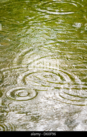 Wellen von Regentropfen in Pfütze Stockfotografie - Alamy