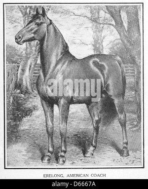 Eine Illustration aus dem Jahr 1906, die die Entwicklung des modernen ...