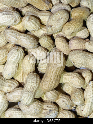 Wunderbar Kann Man Erdnusse Mit Schale Essen Bilder