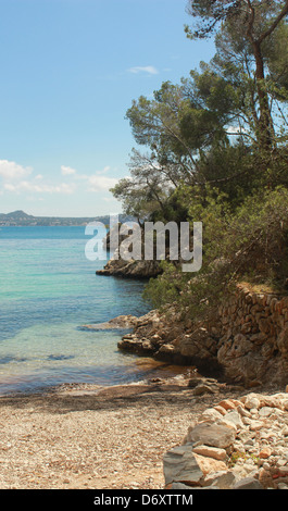 Sandy Cove mit Strand & Pinien im Calanque Port-Pin Calanques ...
