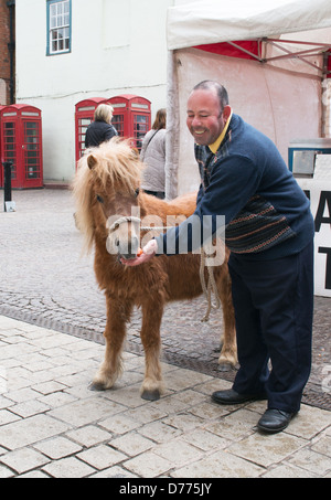 Esel und Karotte Stockfotografie - Alamy