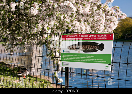 Warnschild an der Harlem Meer, Central Park, New York City, USA ...