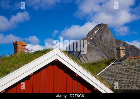 Typische rote Rorbu-Hütte mit Sod Dach in Stadt der Reine auf Lofoten ...