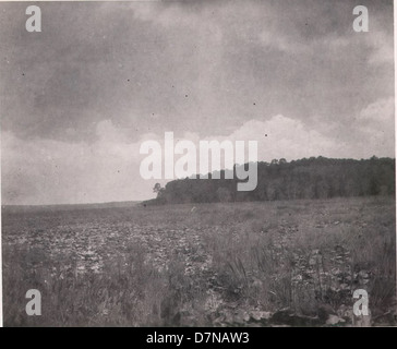 Dieses Foto von einer Zoologieexpedition aus dem Jahr 1925 in Georgia ...