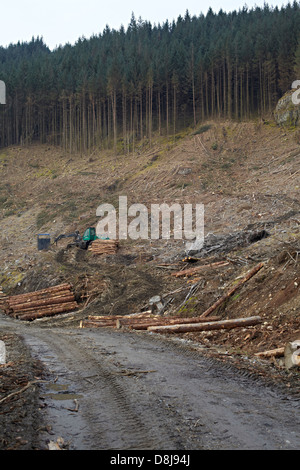 Forstwirtschaft an Polloch und Loch Shiel Stockfotografie - Alamy