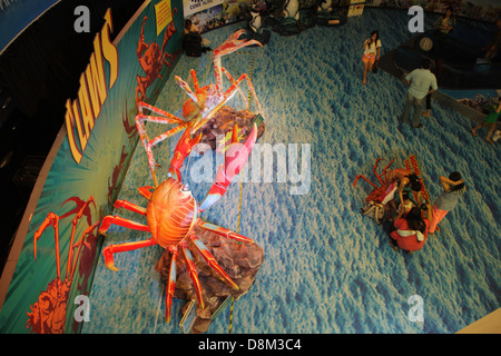 Riesigen Seespinnen anzeigen in Siam Ocean World im Siam Paragon ...