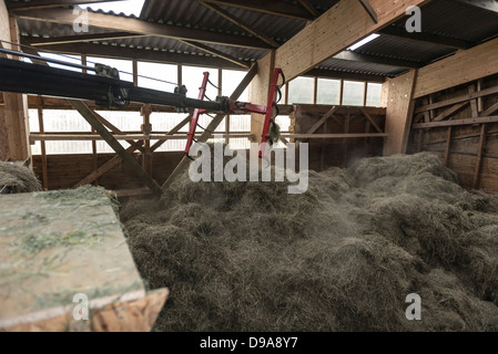Drehen das Heu Stroh & Silo in einer Scheune mit einem obenliegenden ...