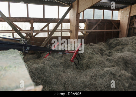 Drehen das Heu Stroh & Silo in einer Scheune mit einem obenliegenden ...