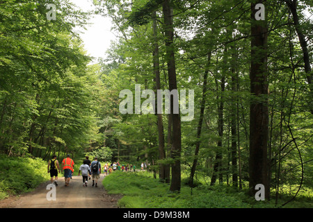 Gruppe von Menschen wandern auf Appalachian Trail in Pennsylvania, PA ...
