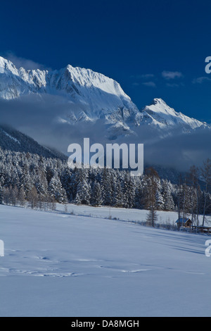 Österreich, Europa, Tirol, Mieminger plateau, Obsteig, Kirche, Baum ...