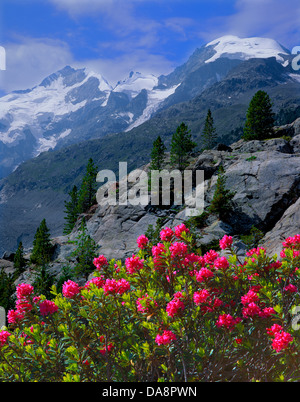 Schweiz, Graubünden, Graubünden, Engadin, Oberengadin, St. Moritz, St ...