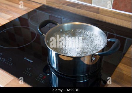 Edelstahl-Topf mit kochendem Wasser, mit Glasdeckel, auf einem ...