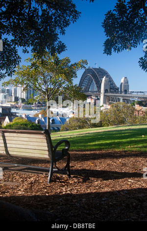 Bank unter Eukalyptus-Baum im Observatorium Park mit Blick auf Sydney ...