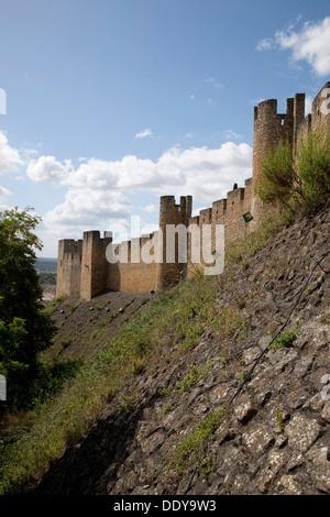 Mittelalter, Architektur, Ritterburg, Illustration, 19. Jahrhundert ...