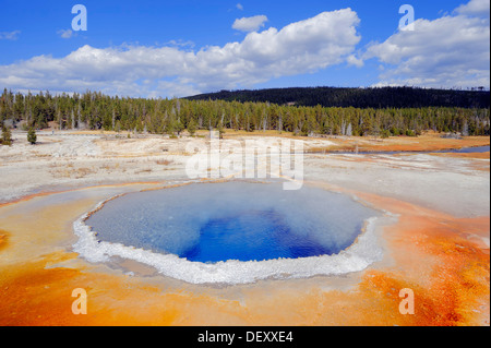 Crested Pool; heiße Quelle; Upper Geyser Basin, Yellowstone National ...