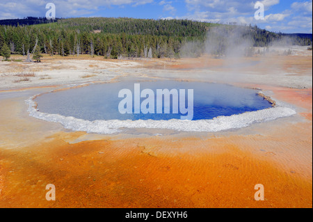 Crested Pool; heiße Quelle; Upper Geyser Basin, Yellowstone National ...