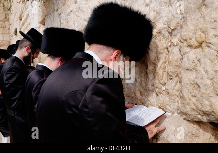 Orthodoxe Juden tragen Schtreimel, Klagemauer, Jerusalem, Israel ...