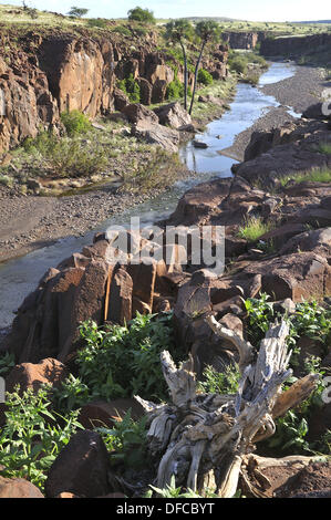Uniab-River-Canyon, Palmwag, Damaraland, Namibia Stockfotografie - Alamy