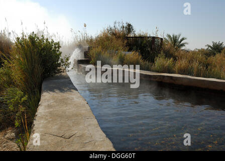 Bewässerung Ägypten Nordafrika Afrika Stockfoto, Bild: 10049933 - Alamy
