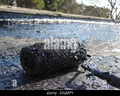 Dachdecker Wasser dichtet ein Dach mit Teer Stockfotografie - Alamy