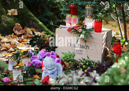 Grab von Schauspieler und Entertainer Dirk Bach am Melatenfriedhof Friedhof, Köln, Nordrhein ...