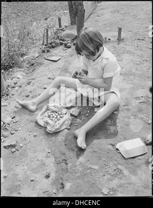 Wanda Lee Sergent knacken Nüsse, die ihren Bruder aus den Wäldern ...