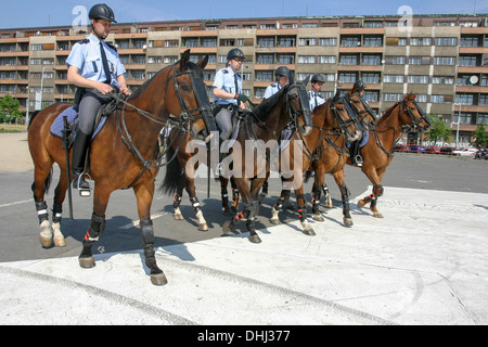 Montiert Polizisten, Polizei Squad auf Pferden im Training, Übung ...