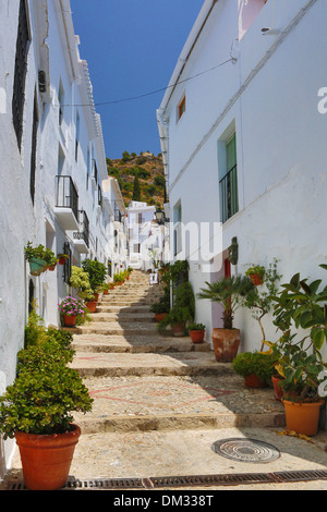 Frigiliana Malaga Andalusien Stadt Blumen Pueblo Spanien Europa ...