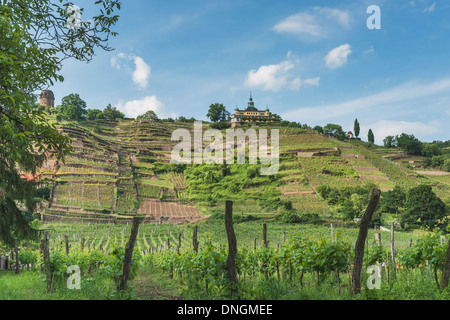 Weinberge, Bismarckturm, Spitz-Haus und ein Landhaus, Radebeul bei ...
