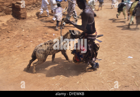 Hyäne Haustier ist Teil der animistischen Zirkus Truppe. Animisten ...