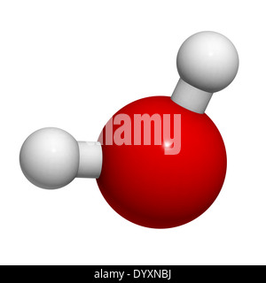 Wasser-Moleküle. Atome als Kugeln dargestellt werden und sind farblich ...
