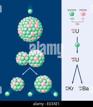 Kernspaltung von Uran - ein Prozess des radioaktiven Zerfalls. Der Kern ...