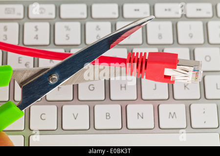 Netzwerk IP-Adresse IP-Adresse LAN RJ45 Stecker-Verbindung Verbindung ...