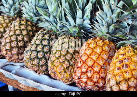 Ananas auf dem Display in einem Lebensmittelgeschäft Stockfoto, Bild ...