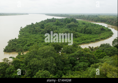 Blick über den Gambia-Fluss im Fluss Gambia National Park, Gambia ...