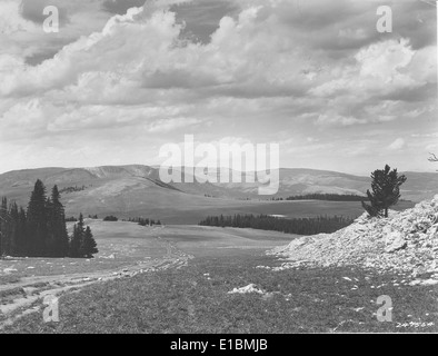 Dieses archivierte Bild des Northern Region Forest Service erfasst eine ...