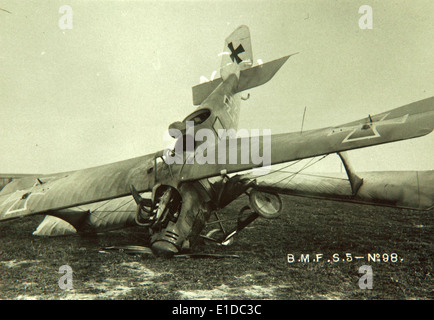 LFG Roland, C II, Walfisch '' Wal '' Stockfotografie - Alamy
