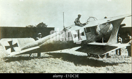 LFG Roland, C II, Walfisch '' Wal '' Stockfotografie - Alamy
