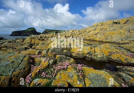 Blick auf Fair Isle Stockfotografie - Alamy