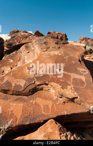 Felsgravuren, Huab River Valley, Torra Conservancy, Damaraland, Namibia ...
