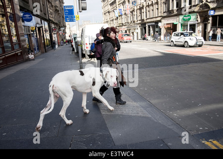 Eine Frau geht mit ihrer Dogge in einer urbanen Umgebung spazieren und ...