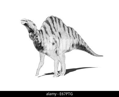 Ouranosaurus Dinosaurier / Ouranosaurus Dinosaurier Stockfotografie - Alamy